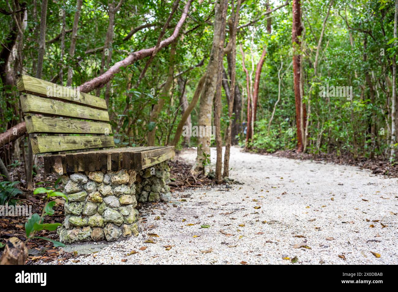 Trail park bench at Windley Key Fossil Reef Geological State Park in ...