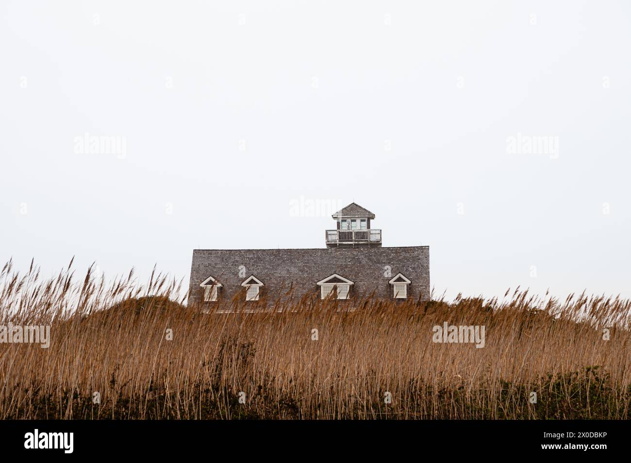 Oregon Inlet Life Saving Station behind dune grass against a white sky ...