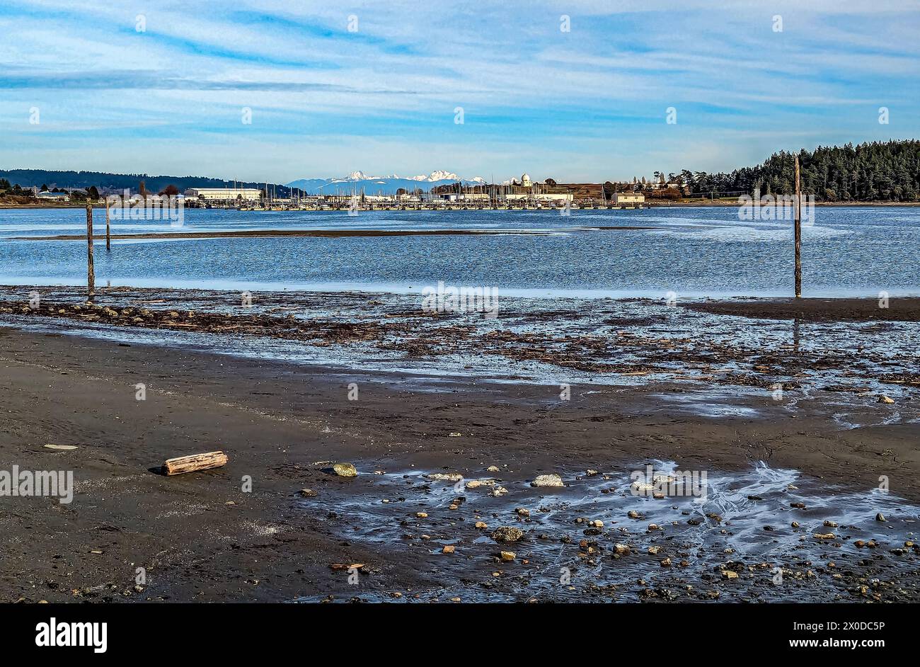 Marina and mud flats in Oak Harbor, Washington Stock Photo - Alamy
