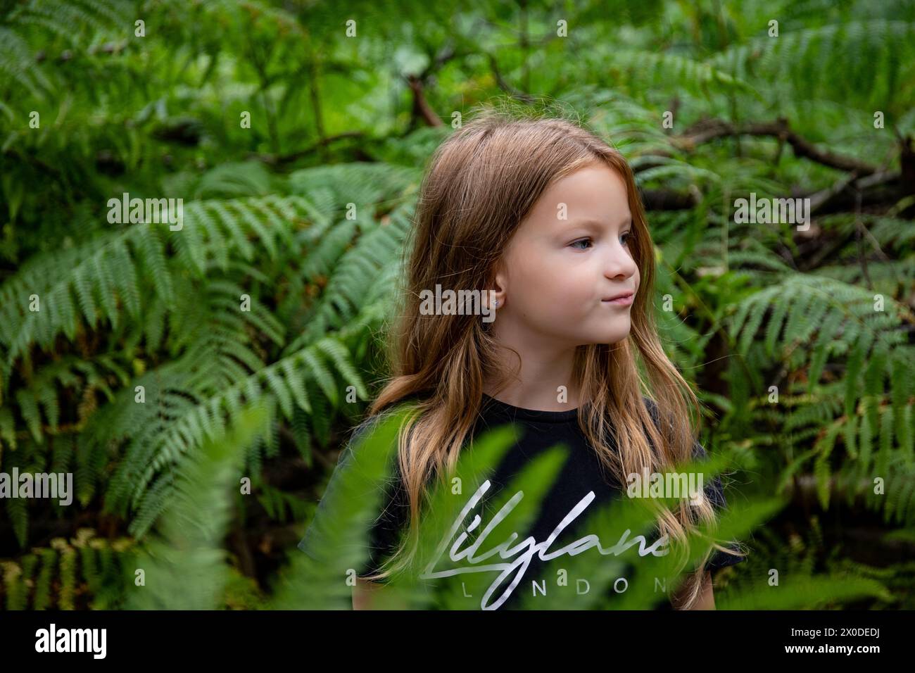 Beautiful girl with long hair in green fern forest Stock Photo - Alamy