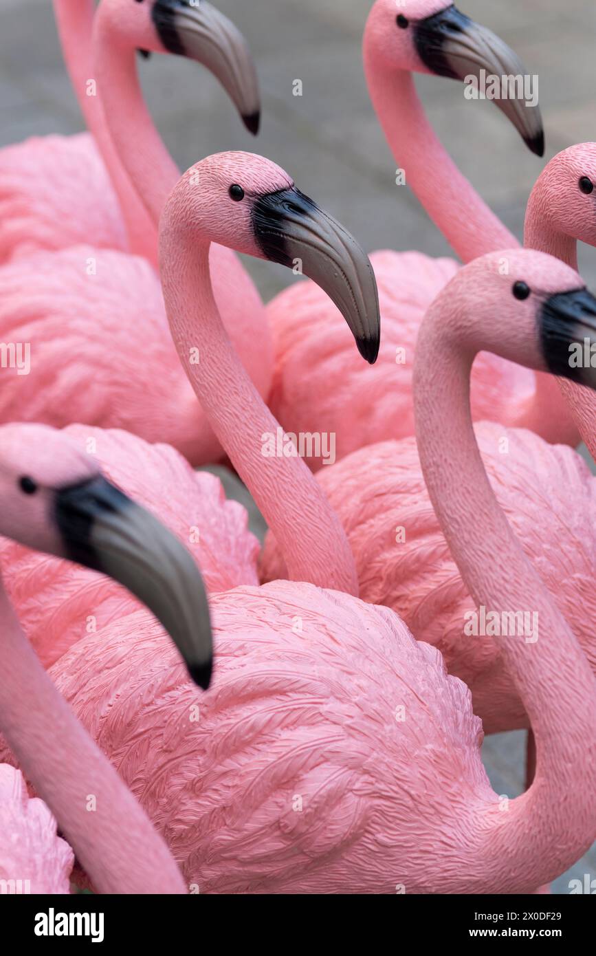 Pink Plastic Flamingo Stock Photo - Alamy