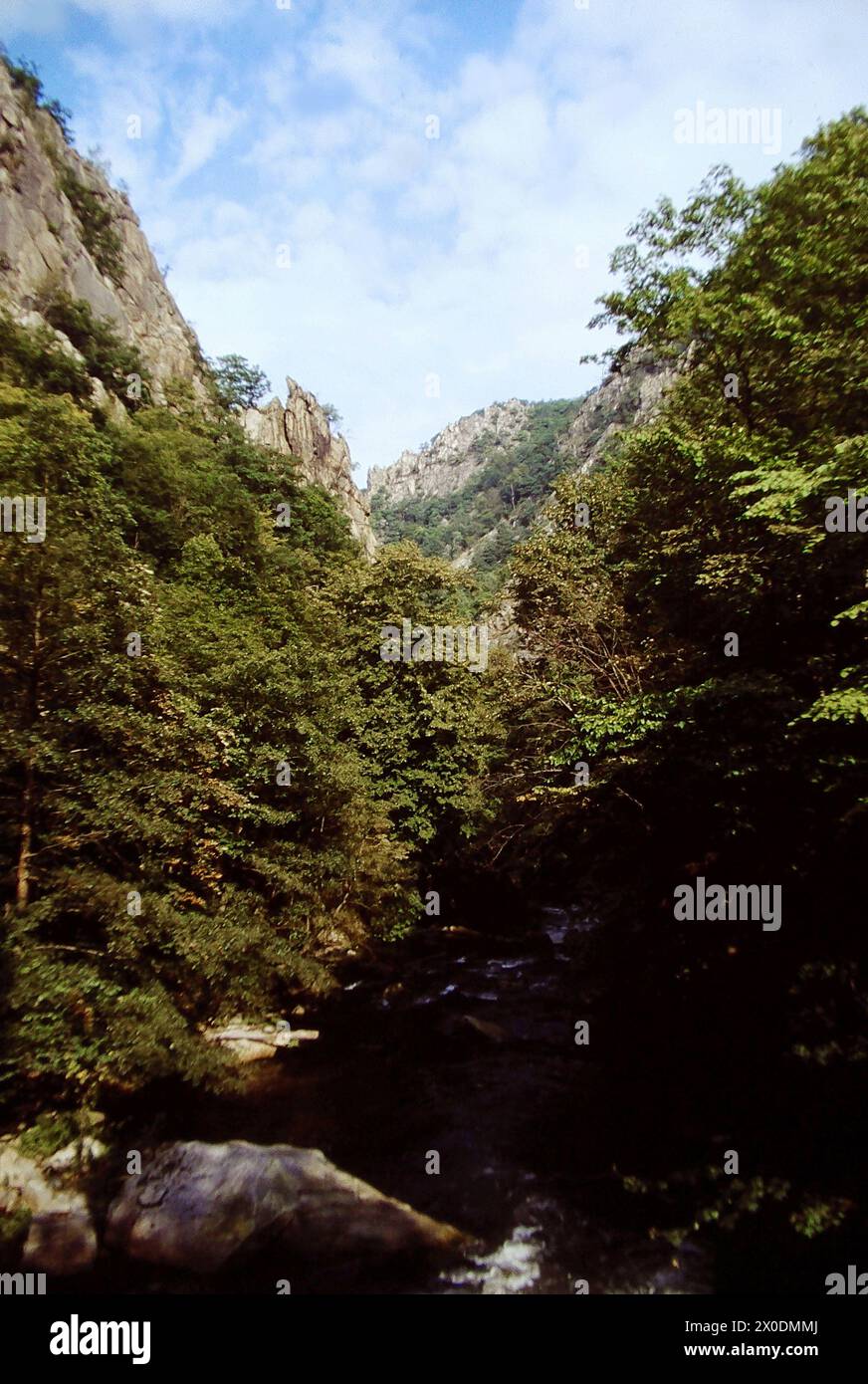 Blick in das zerklueftete Bodetal im Harz Harz Blick ins Bodetal ...