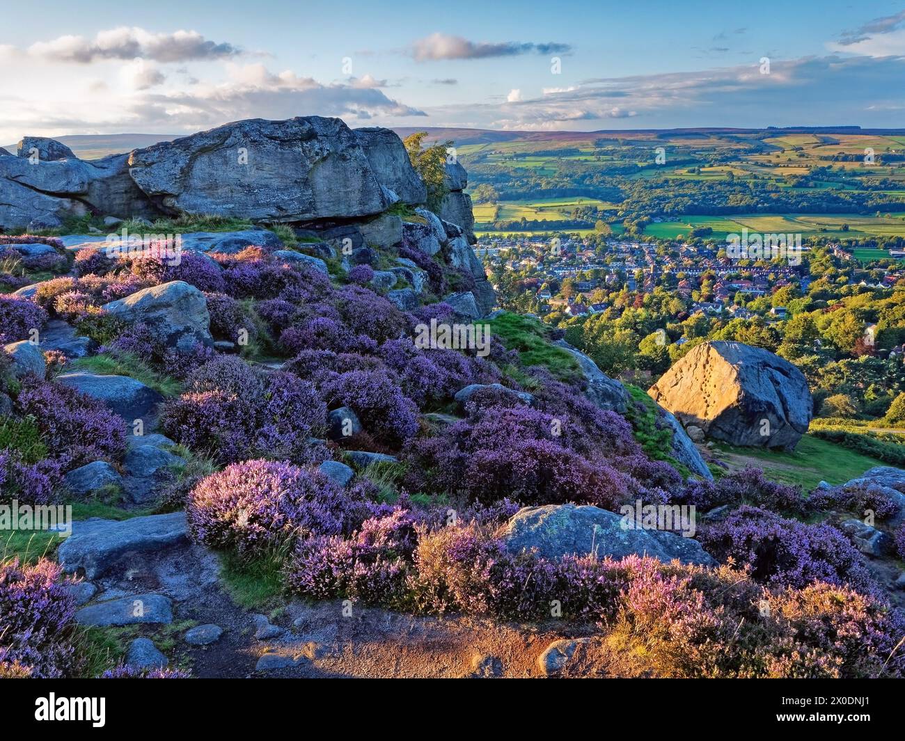 UK, West Yorkshire, Ilkley, Ilkley Moor Cow and Calf Rocks Stock Photo ...