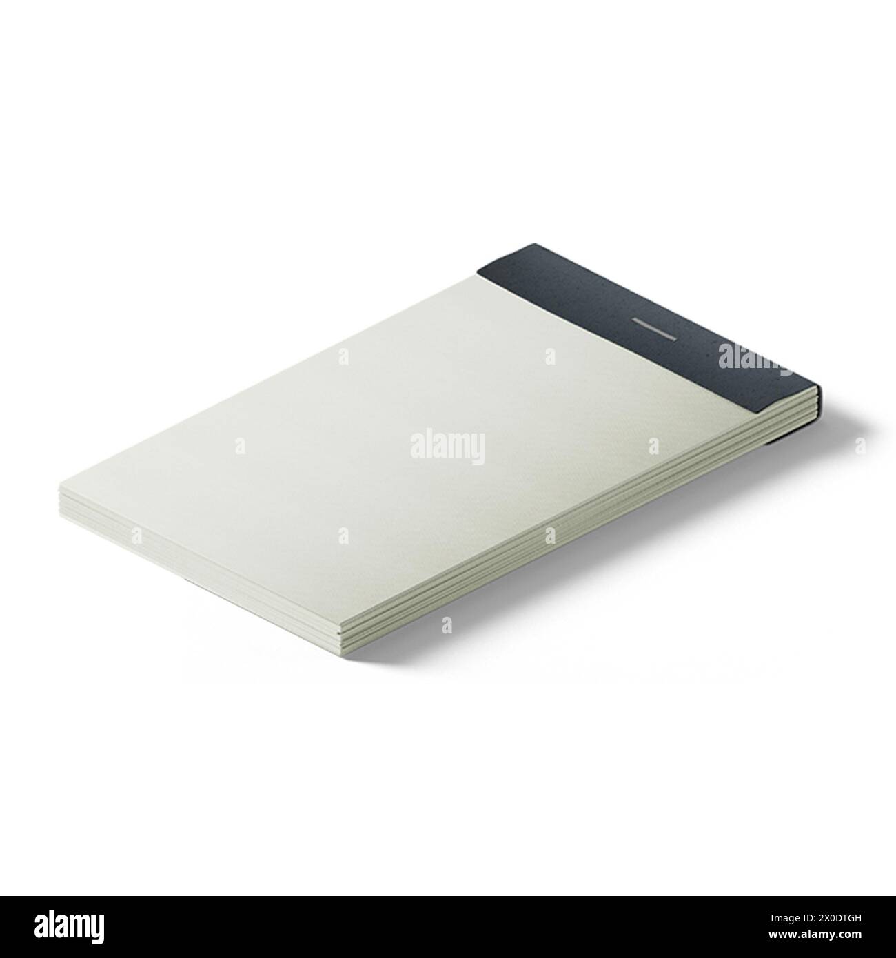 Creative concept isometric diverse notepad isolated against plain ...