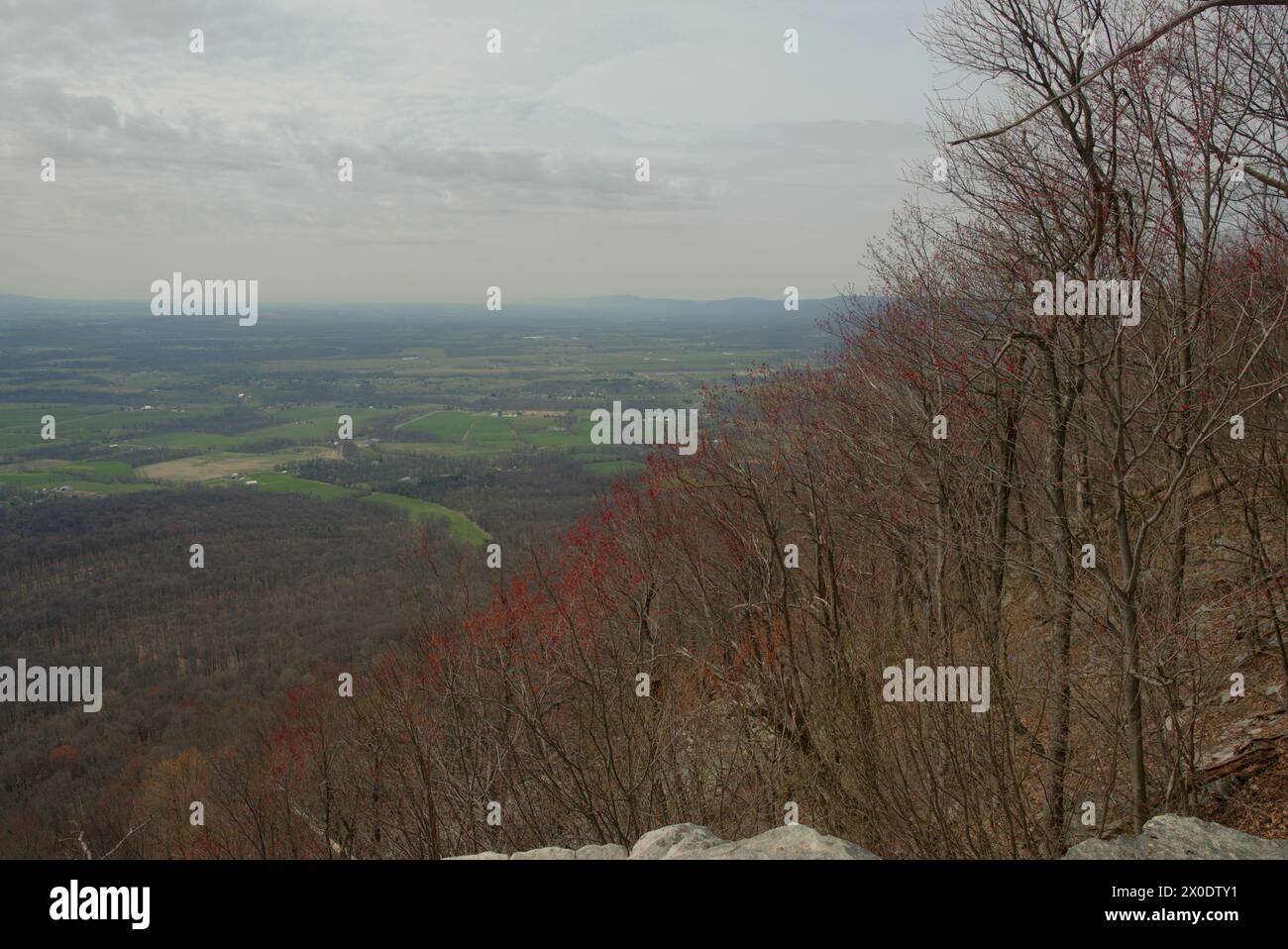 Views from the Flat Rock Vista on the Tuscarora Trail Stock Photo - Alamy