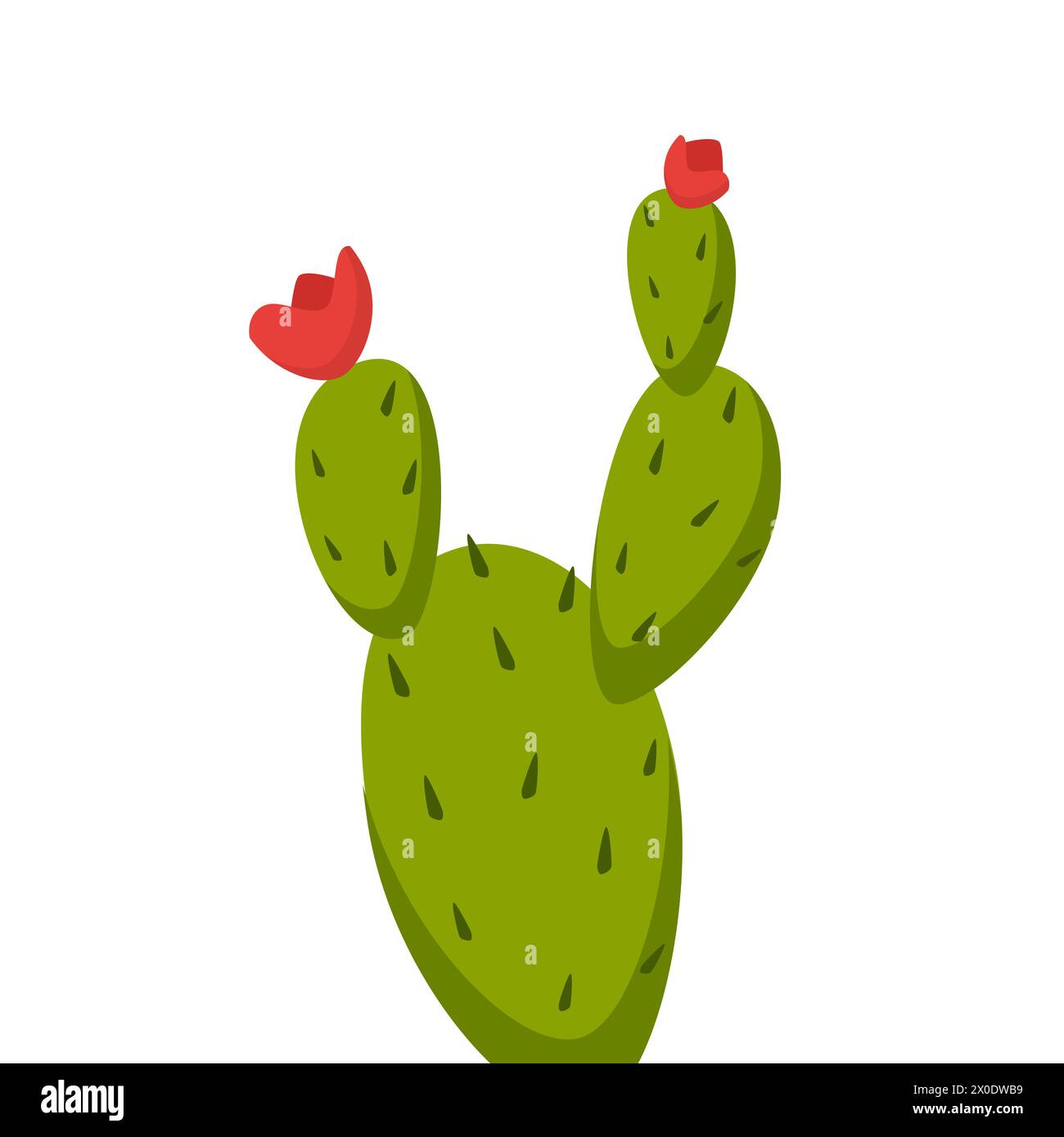 The green cactus on a rocky Texas soil isolated on white background ...