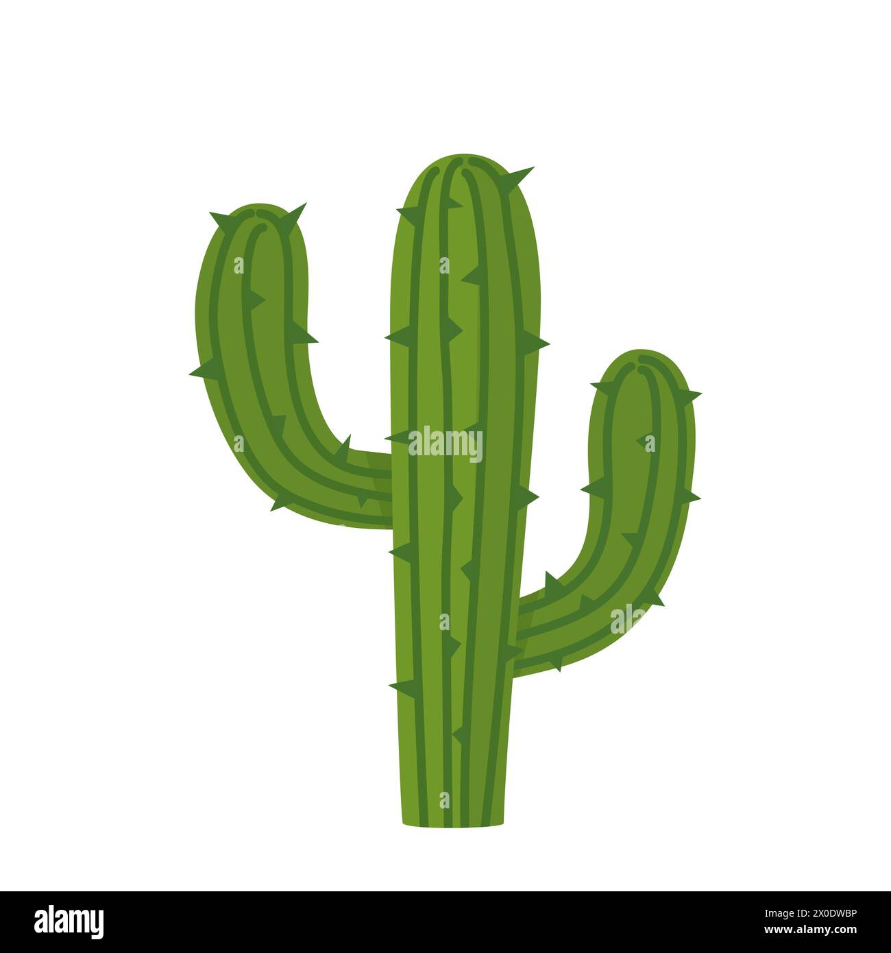 The green cactus on a rocky Texas soil isolated on white background ...