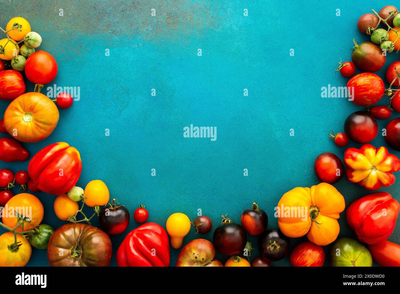 Multi-colored bright ripe tomatoes on an emerald green background ...