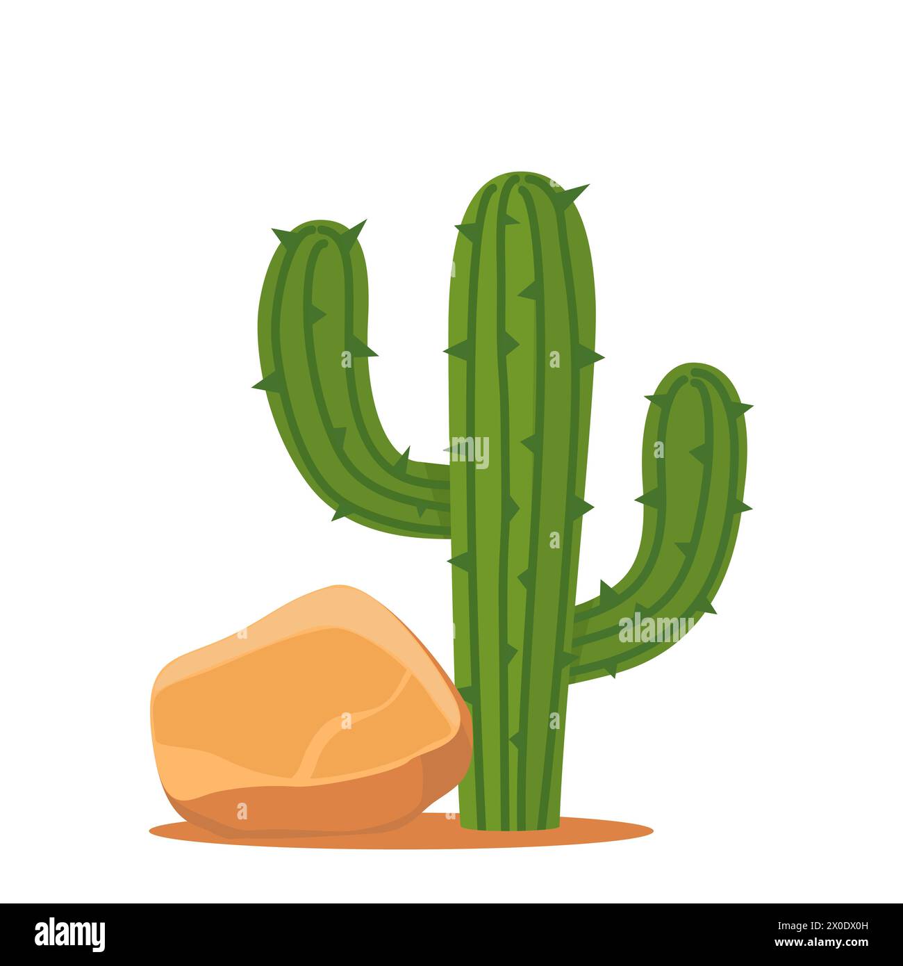 The green cactus on a rocky Texas soil isolated on white background ...