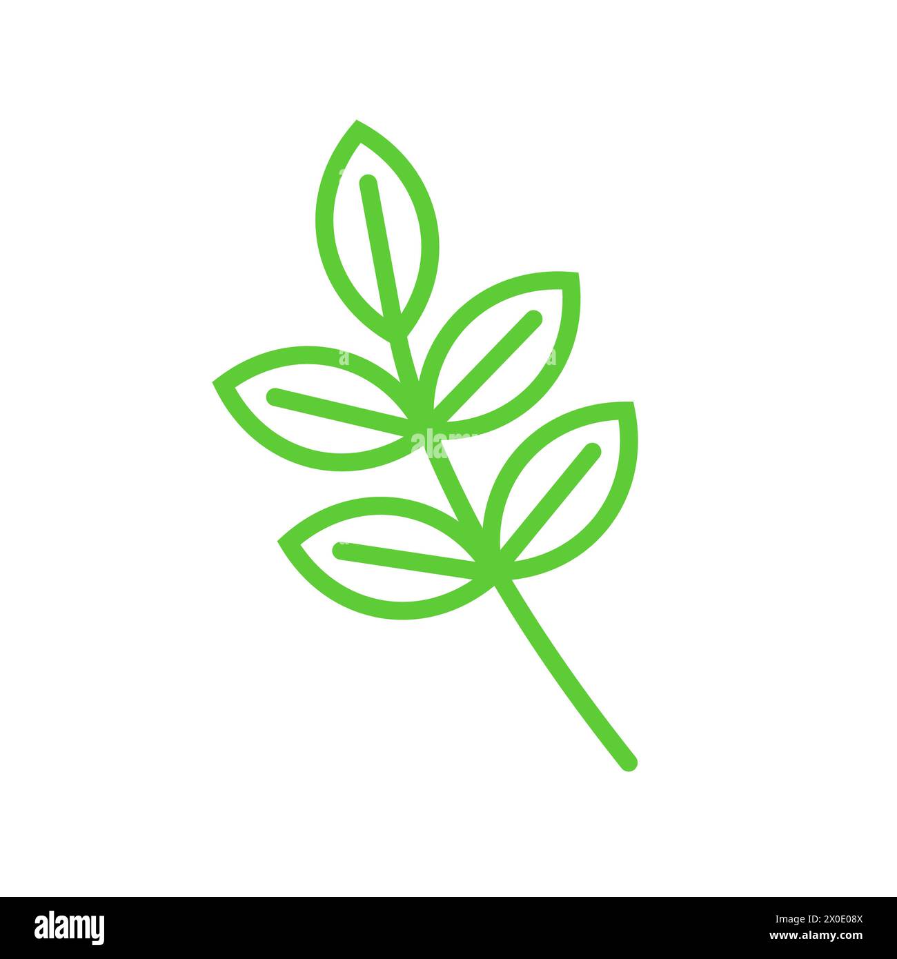 Ash tree leaf, leaves icon, isolated on white background Stock Vector ...