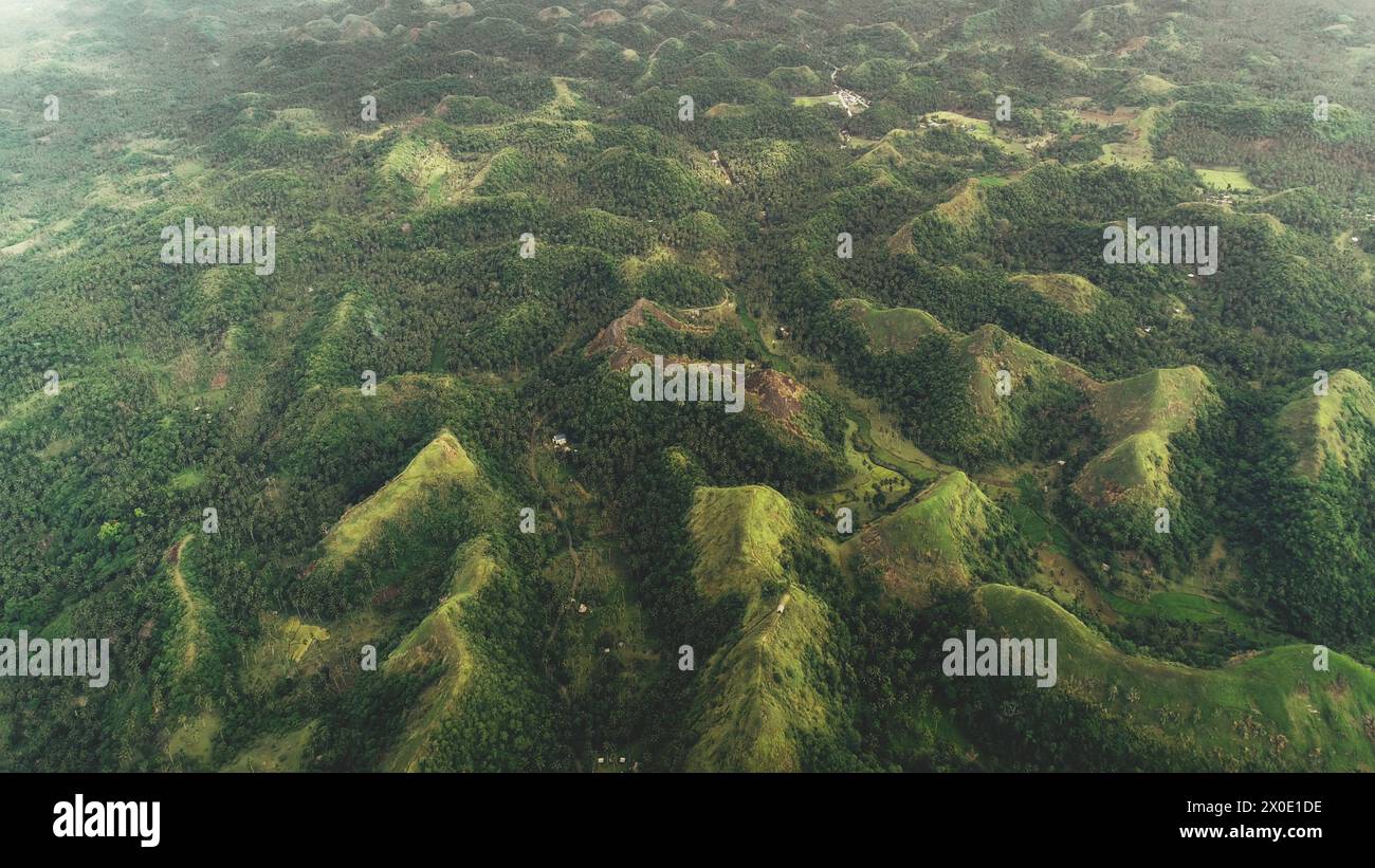 Top down mountain burnt peak grass aerial view: tropic palm trees at ...