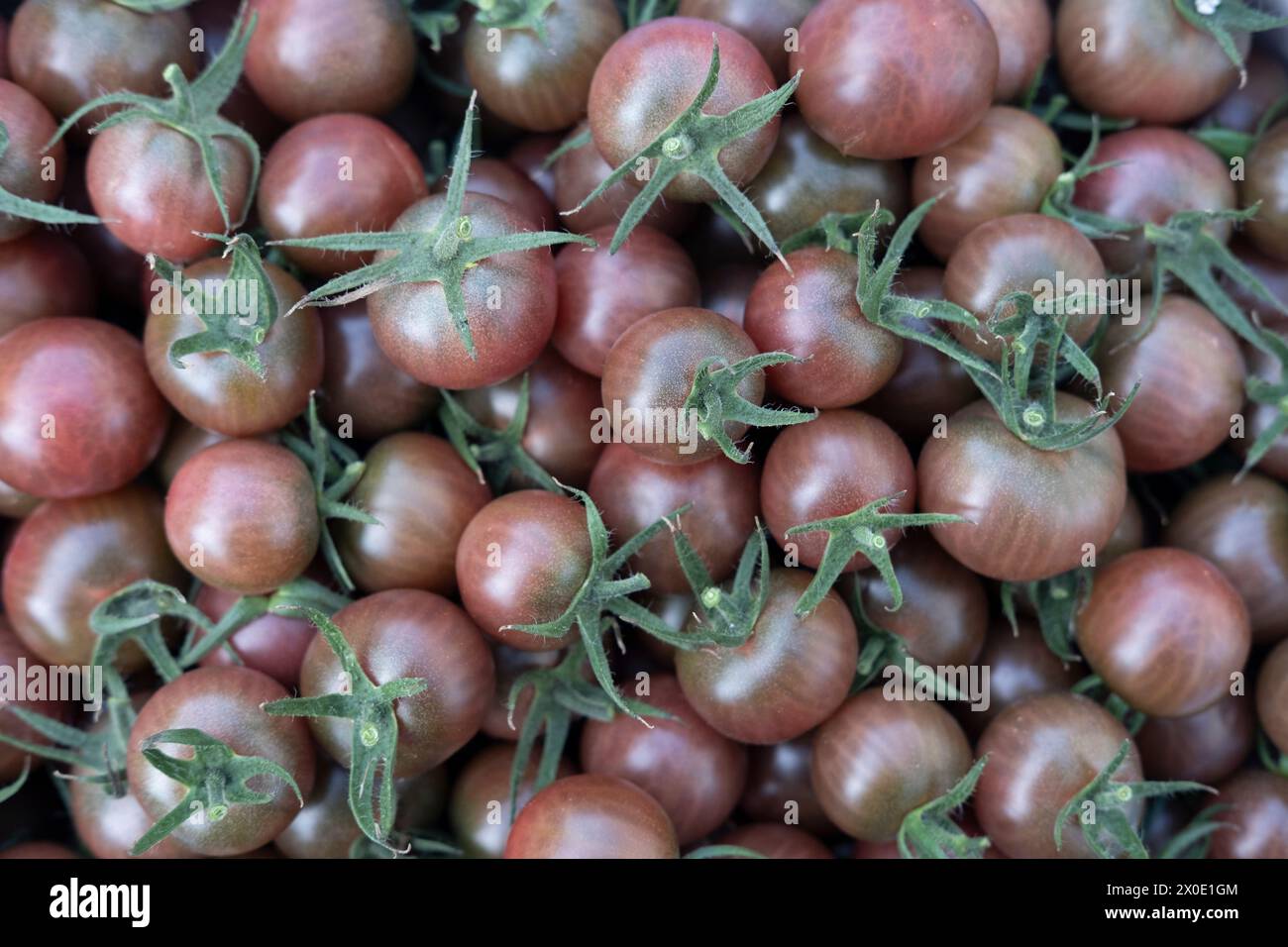 Flavour fresh hi-res stock photography and images - Alamy