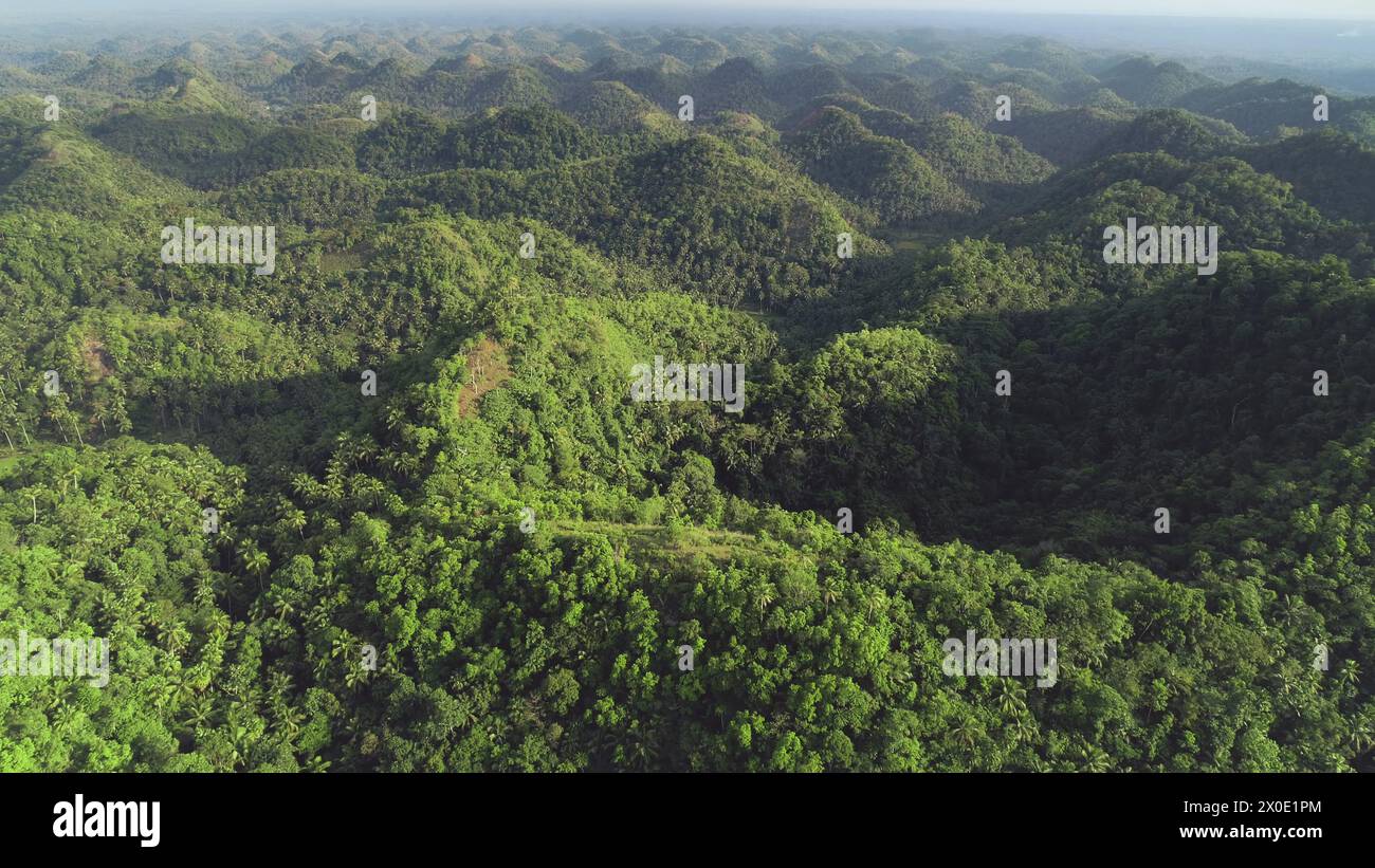 Timelapse aerial tropic jungle hills at mist with wide greenery plants ...