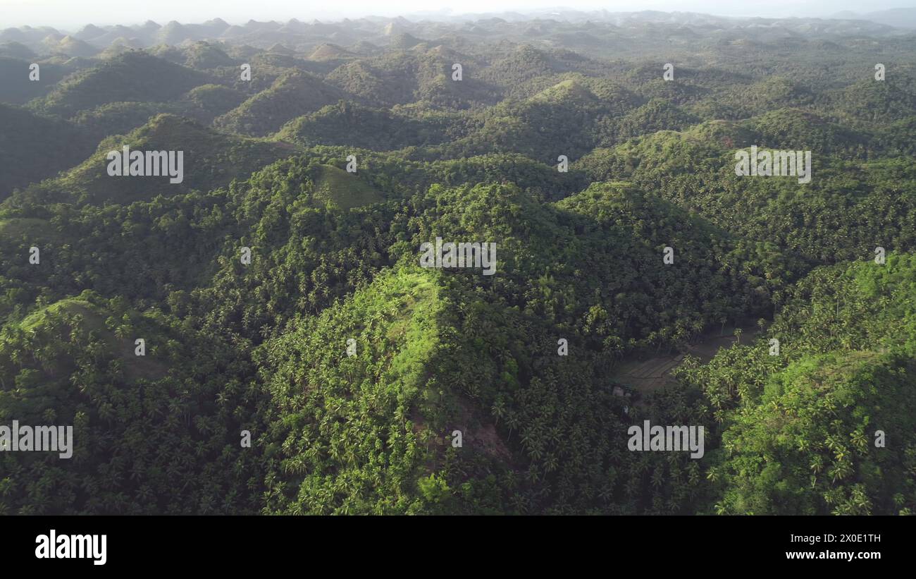 Sunny jungle hills aerial: Philippines landmark at Legazpi town, Mayon ...