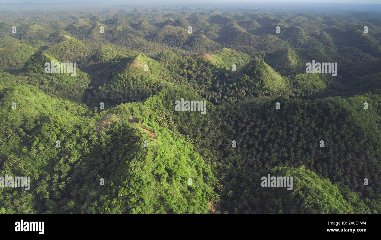 Filipino plants hi-res stock photography and images - Alamy