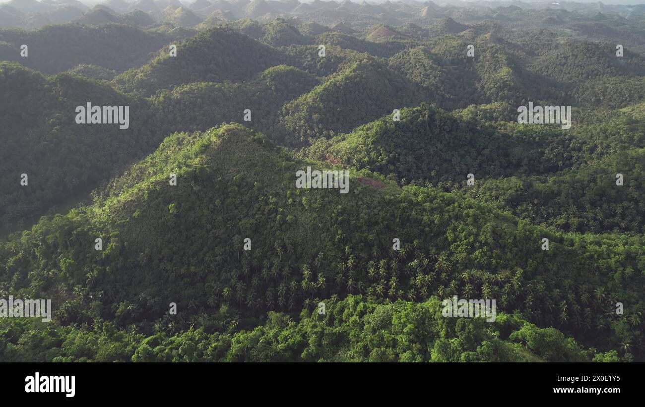 Aerial Asia misty rainforest hills. Green trees, grass at mounts ranges ...