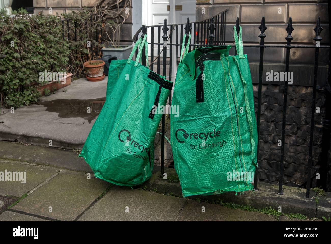 Green gull-proof recycling sacks attached to railing and awaiting ...