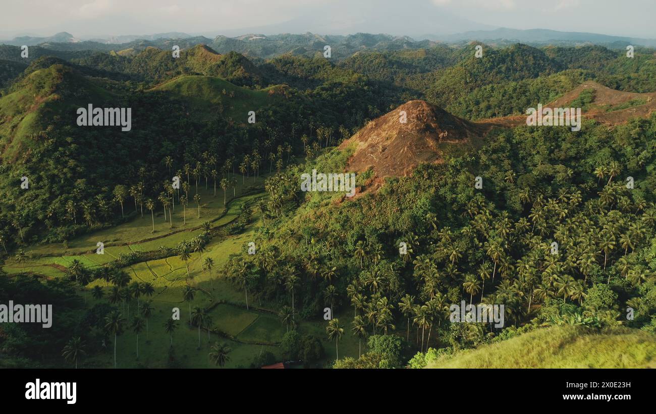 Sun burned grass hills top aerial: mount with burnt grassy peak at ...