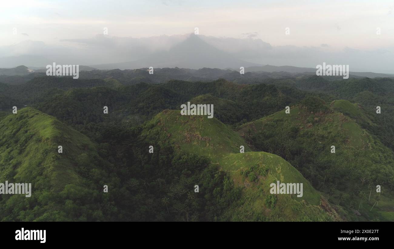 Aerial tropic forest at green hill in misty haze. Epic greenery plant ...