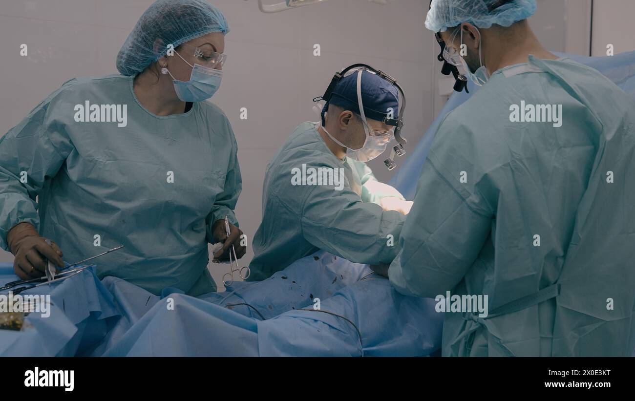 Dissection tools hi-res stock photography and images - Alamy