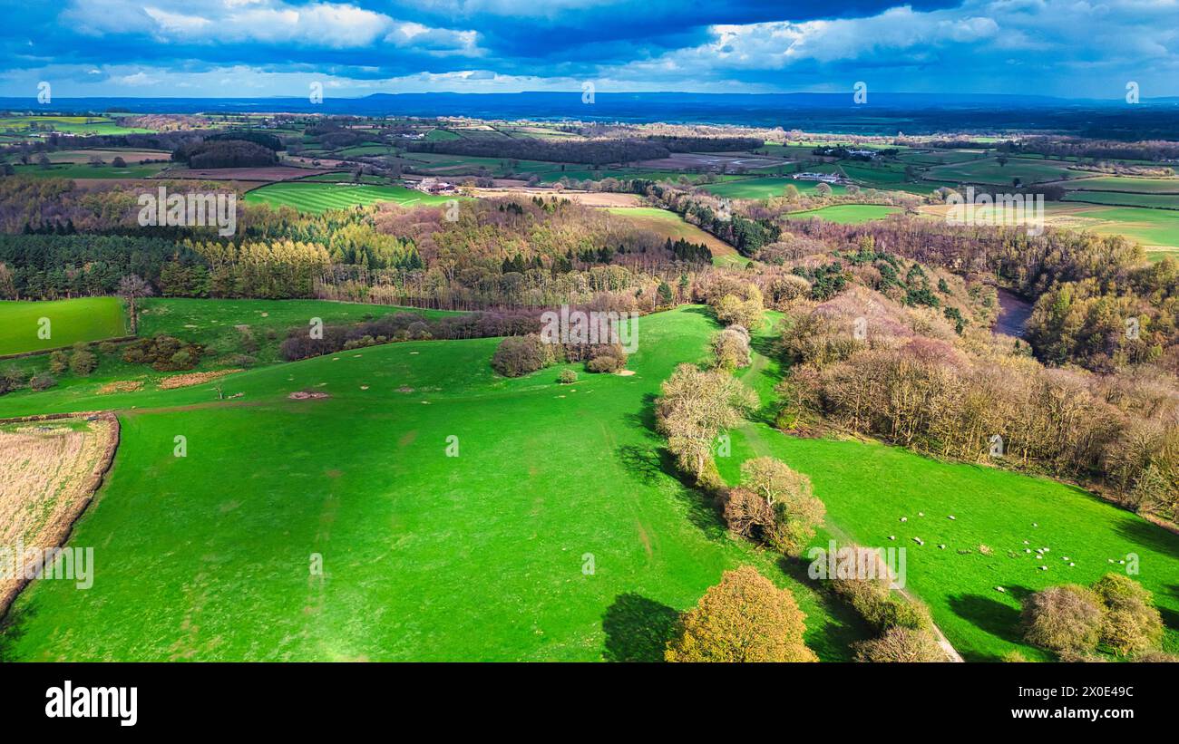 Vibrant fields patches forest hi-res stock photography and images - Alamy