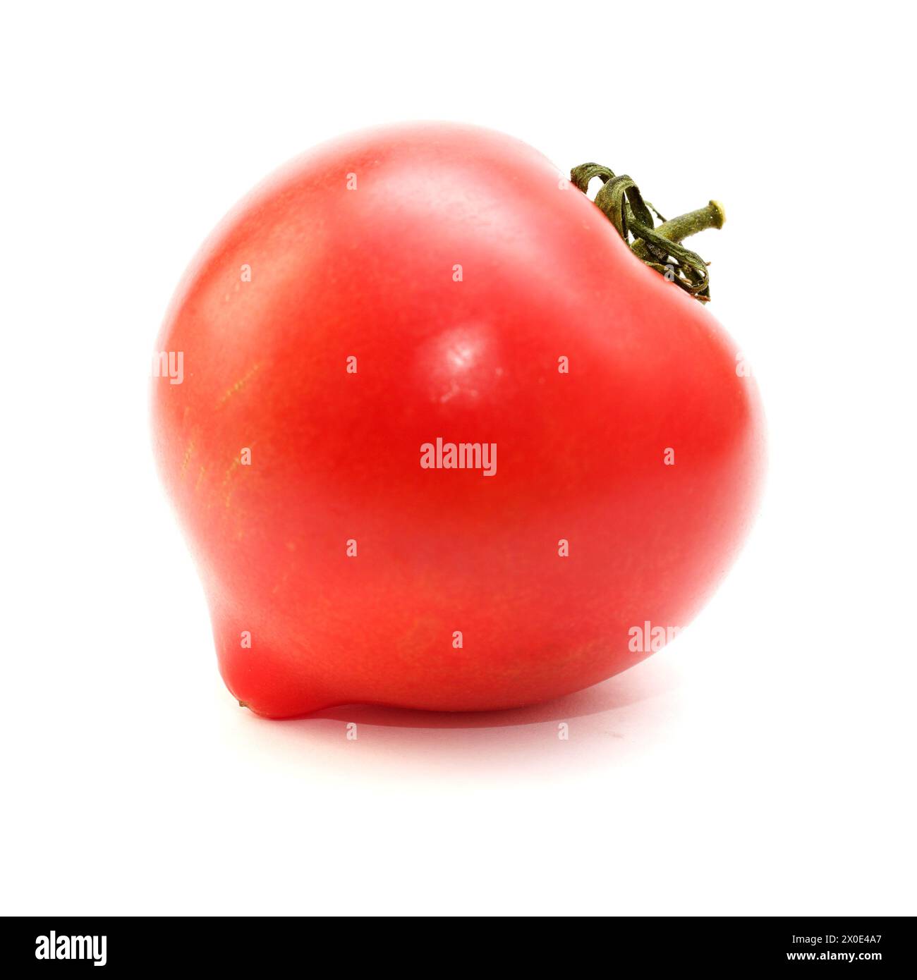 Round Pink tomato with a nose that produces heart shape when cut in ...