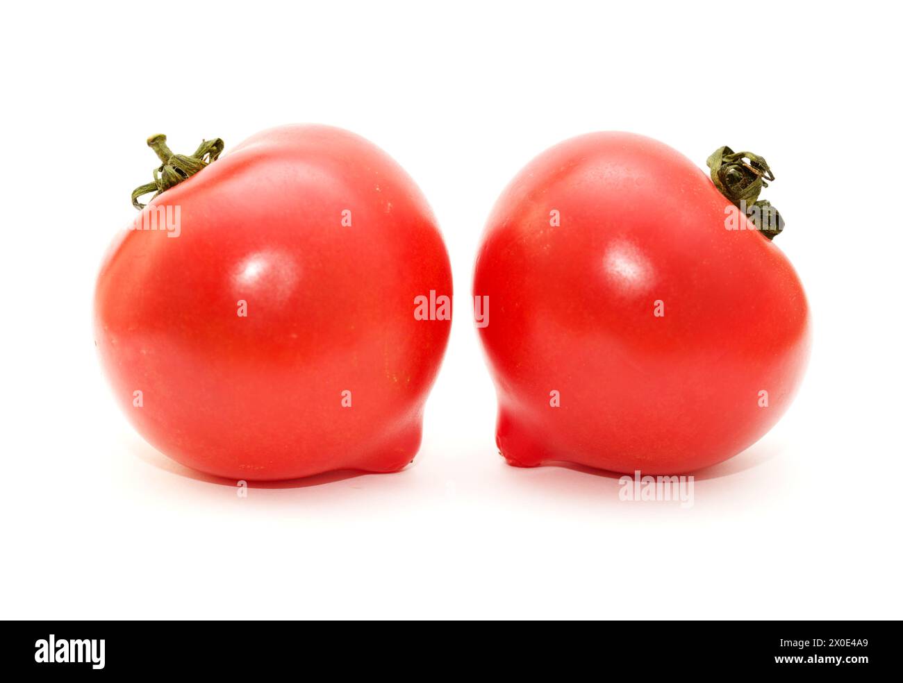 Round Pink tomato with a nose that produces heart shape when cut in ...