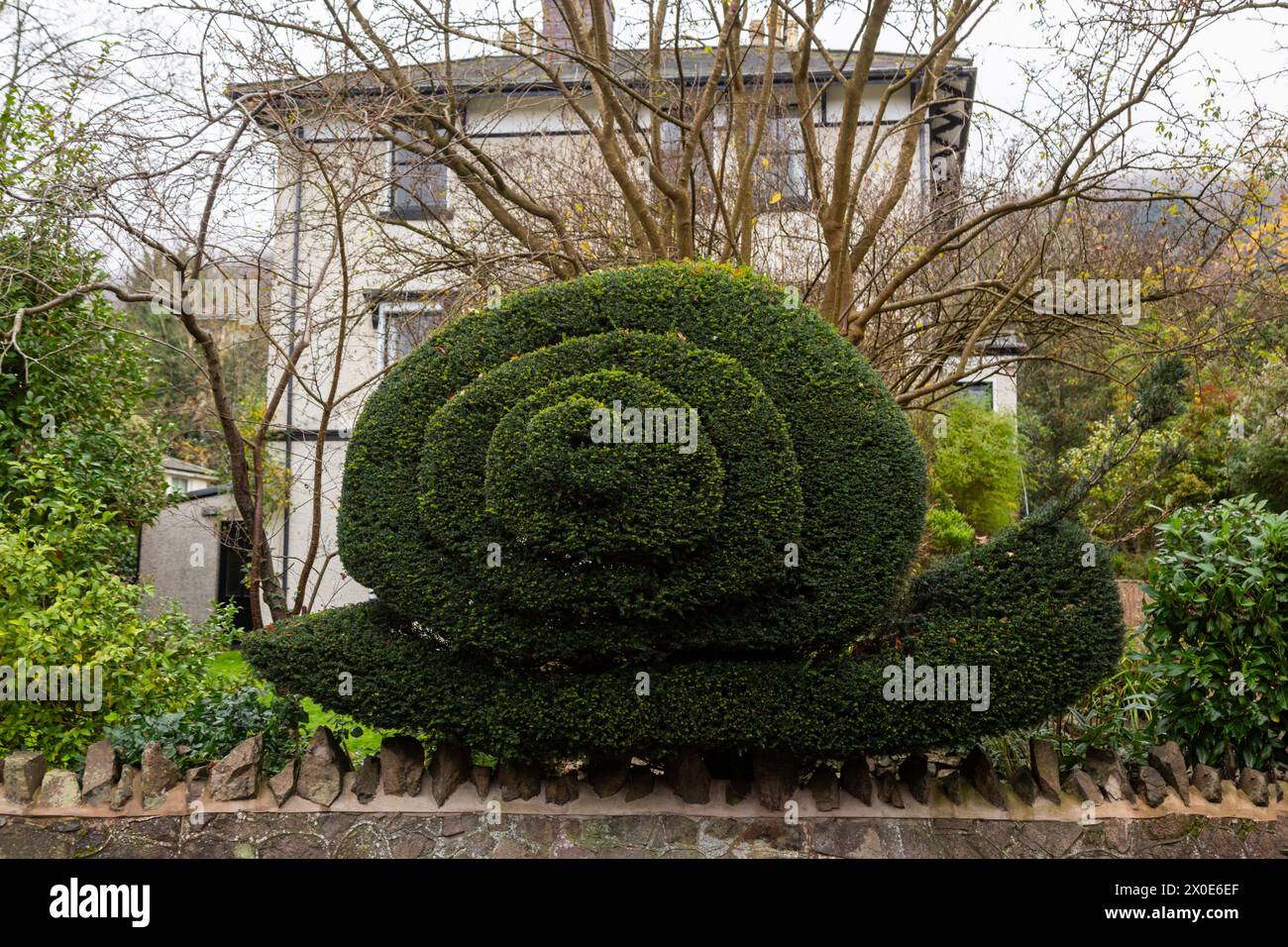 Traditional topiary example of a snail, England, UK Stock Photo - Alamy