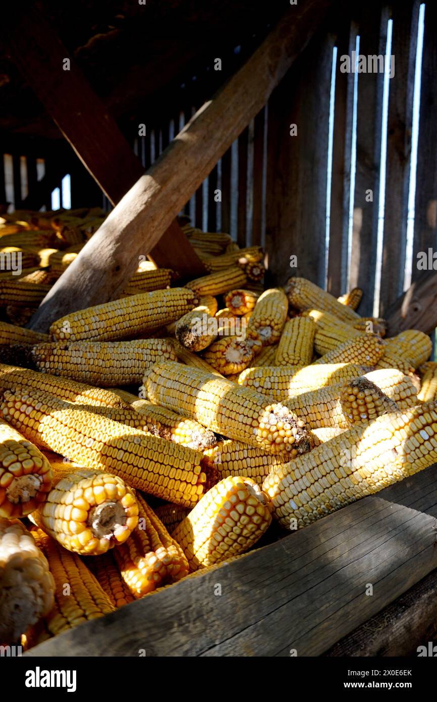 Corn crib hi-res stock photography and images - Alamy