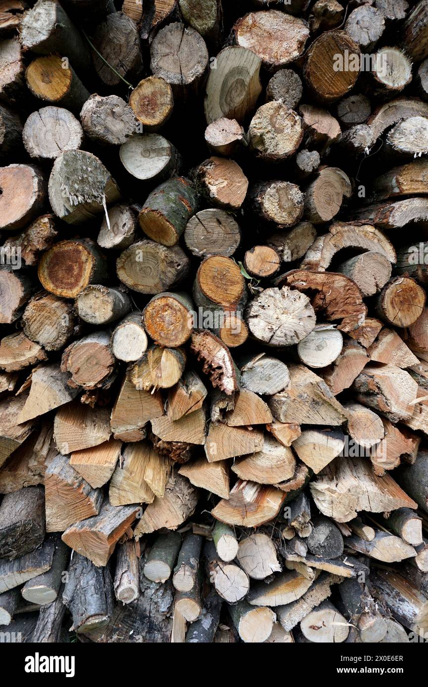 Firewood rack hi-res stock photography and images - Alamy