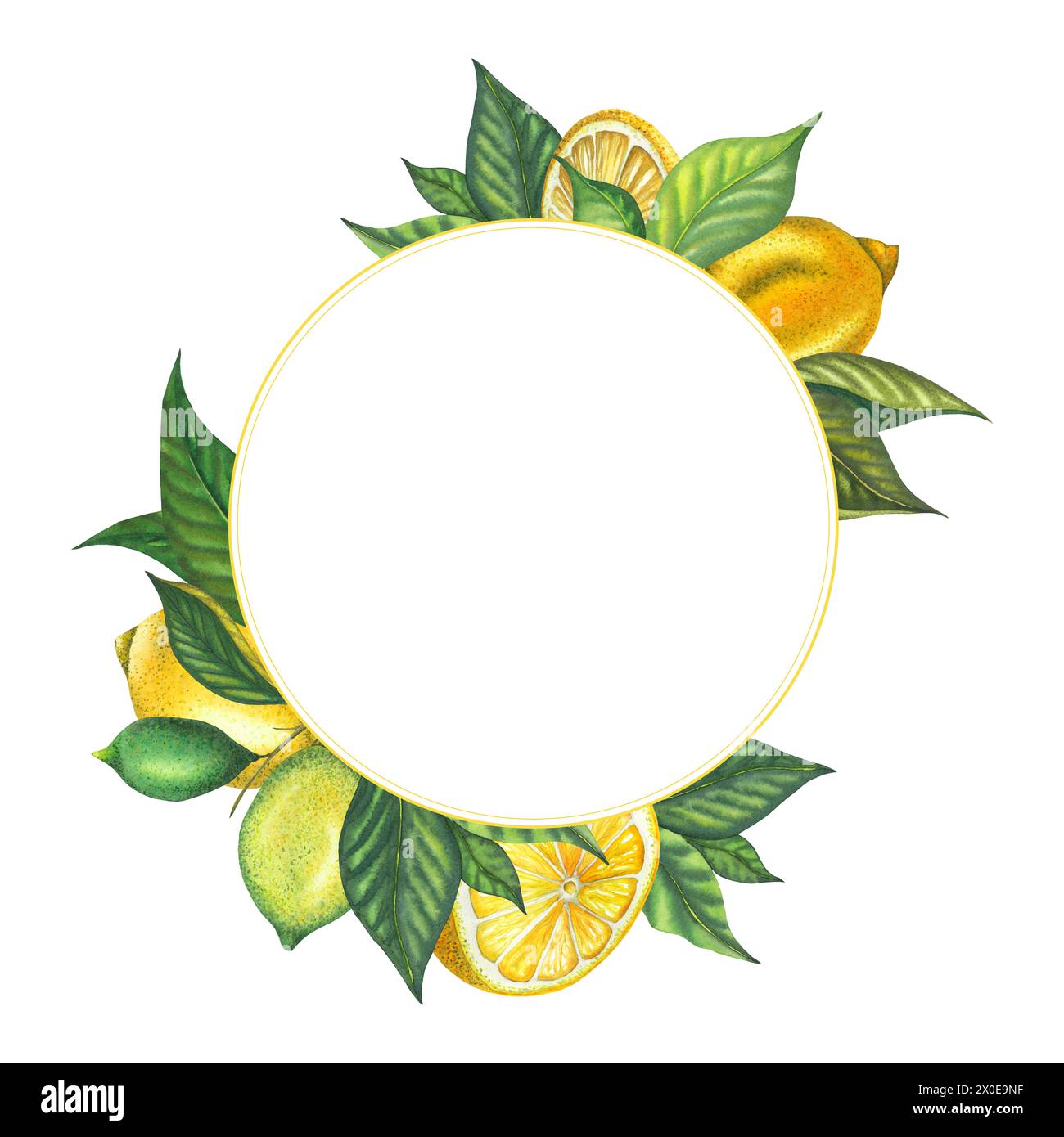 Watercolor lemon round frame with lime, leaves, lemons. Hand painted ...