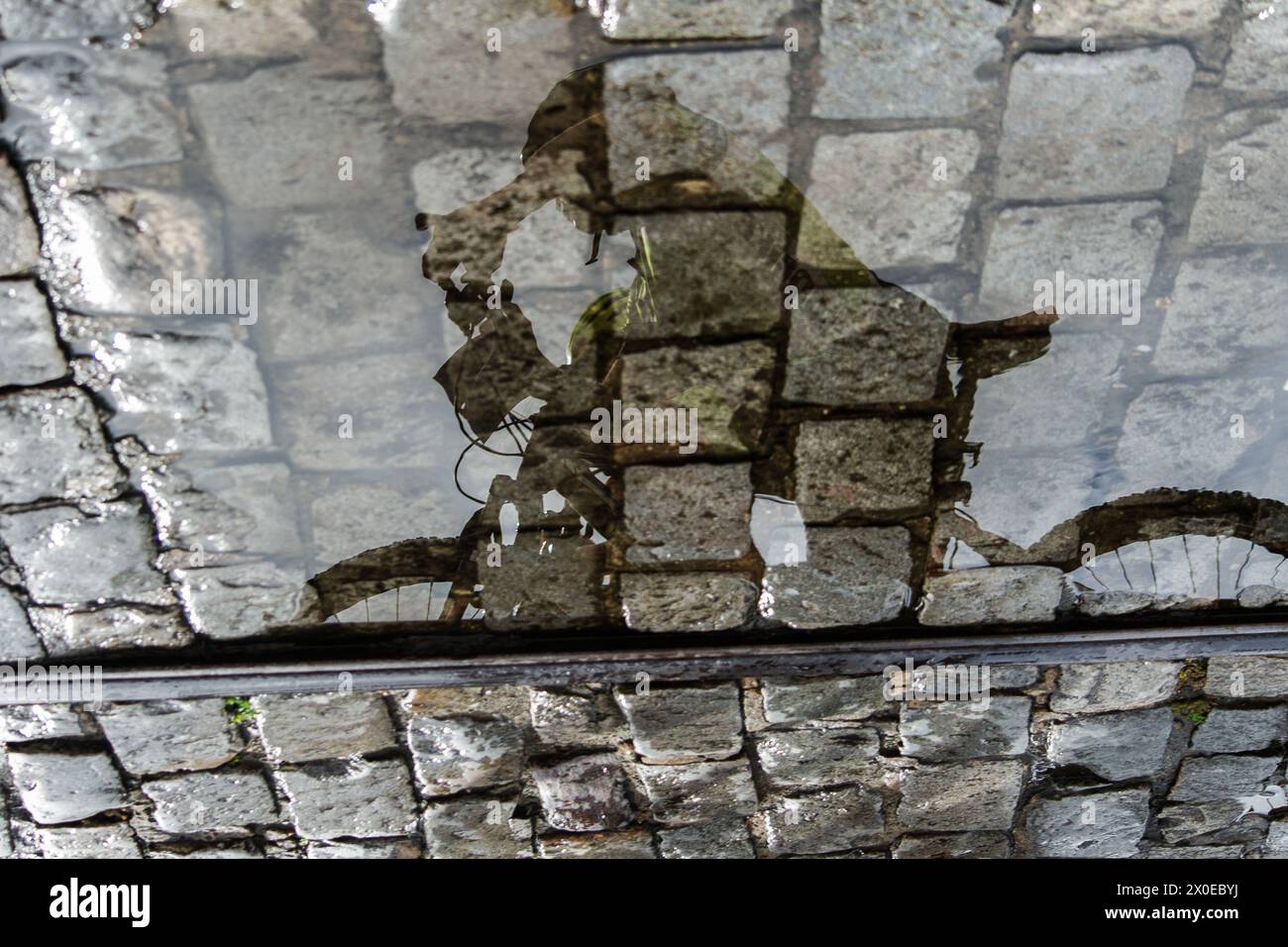 Reflection of person and bicycle in a puddle of rainwater in the river ...