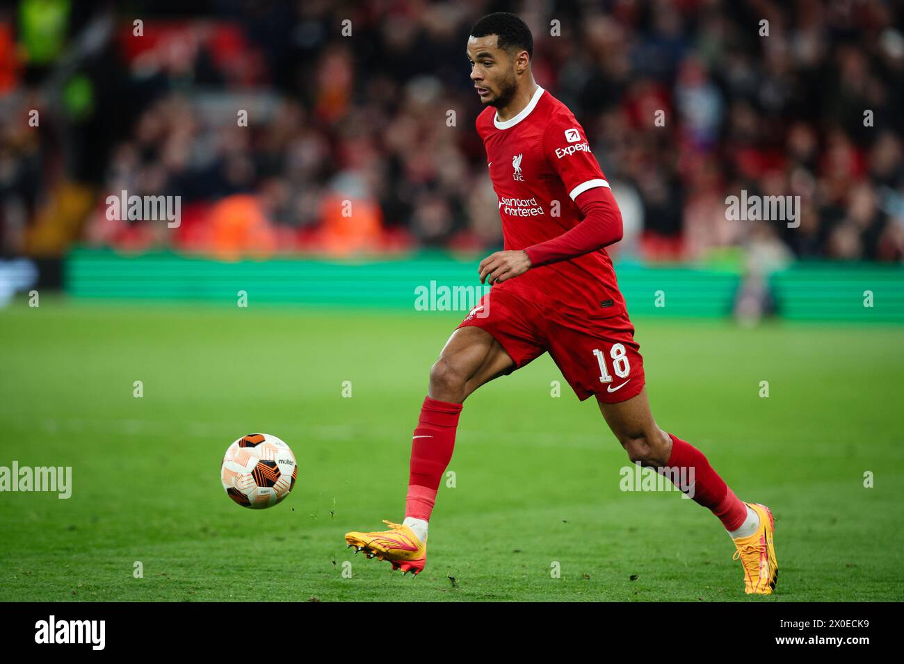 Cody gakpo liverpool 2024 hi-res stock photography and images - Alamy