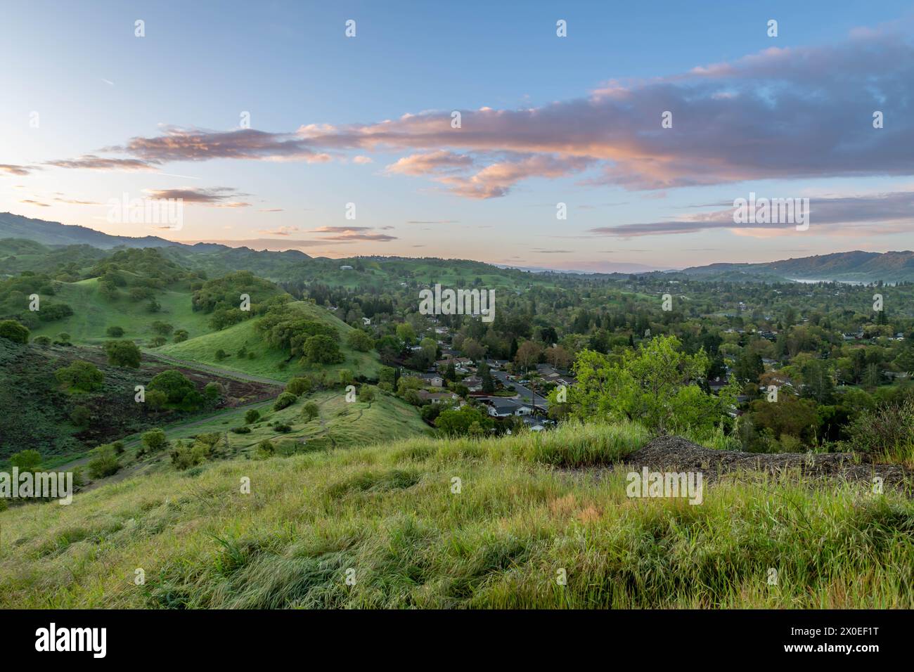 Mount Diablo State Park at Dawn Stock Photo - Alamy