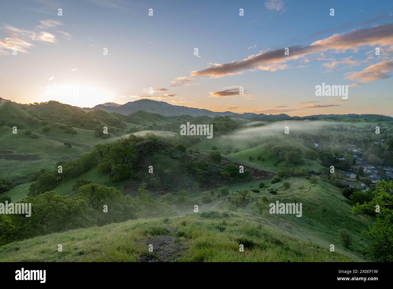 Mount Diablo State Park at Dawn Stock Photo - Alamy