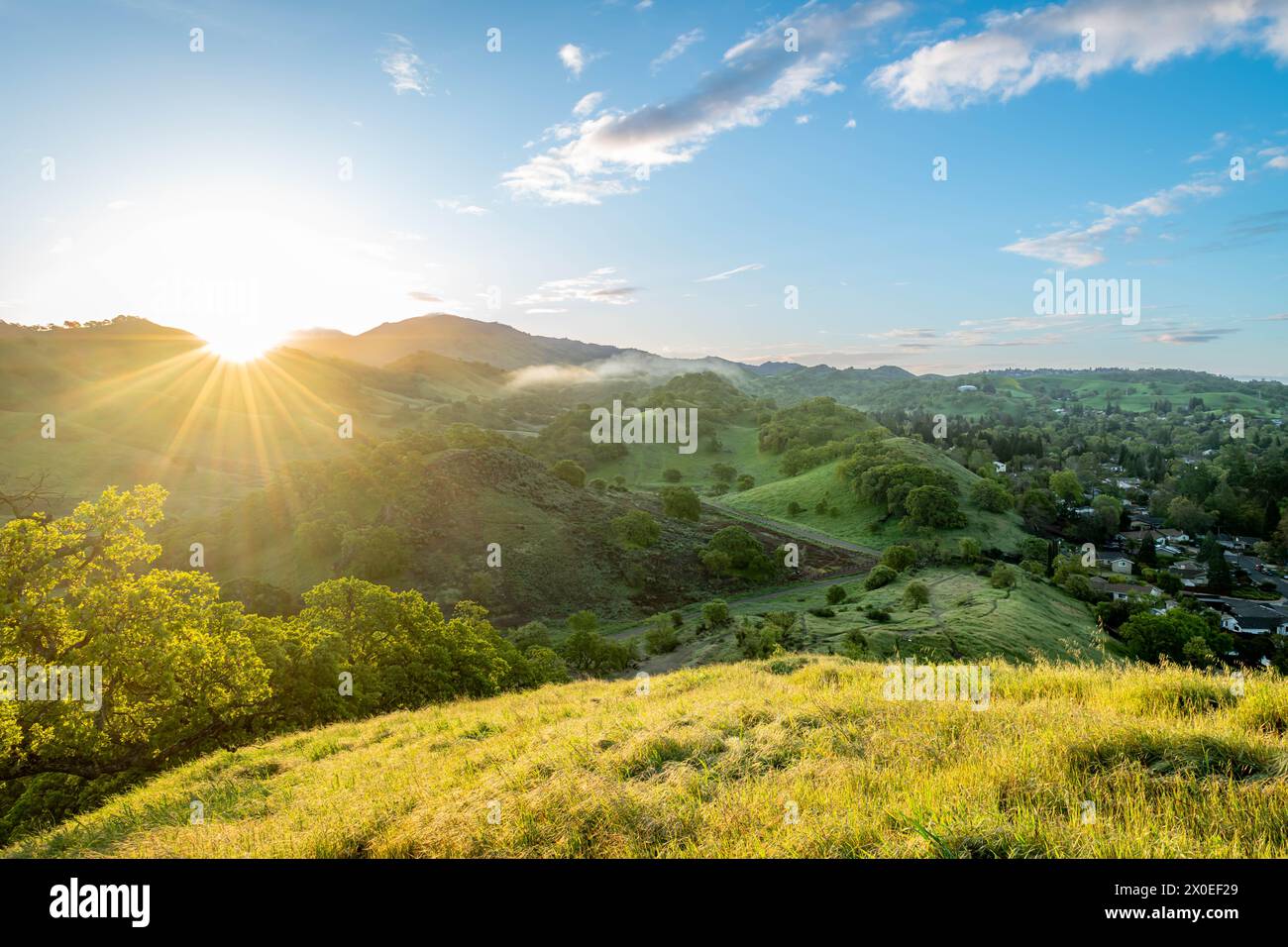 Mount Diablo State Park at Dawn Stock Photo - Alamy