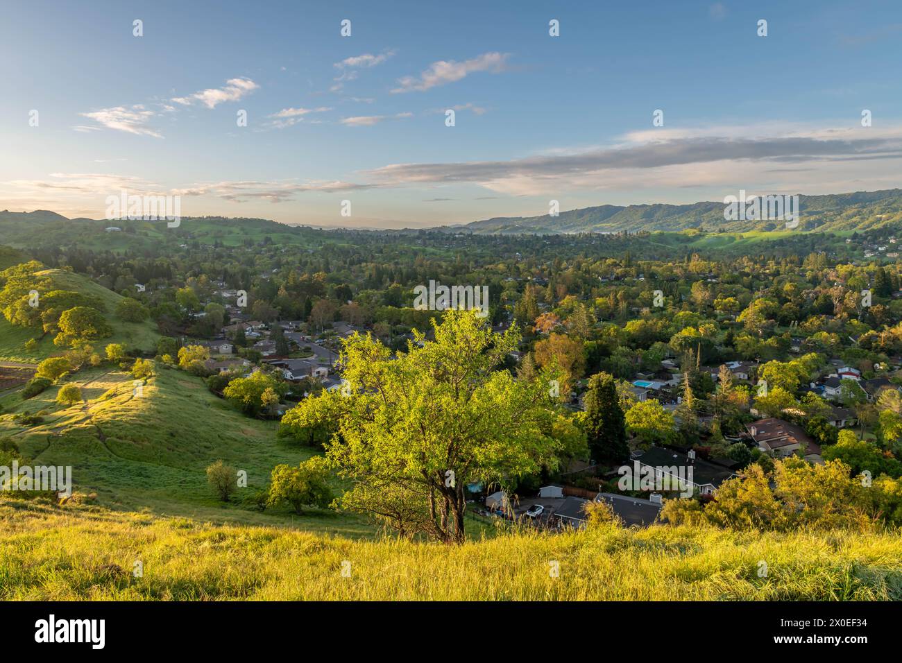 Mount Diablo State Park at Dawn Stock Photo - Alamy