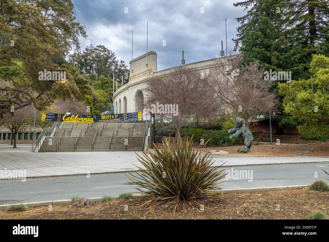 Berkeley california trees hi-res stock photography and images - Alamy
