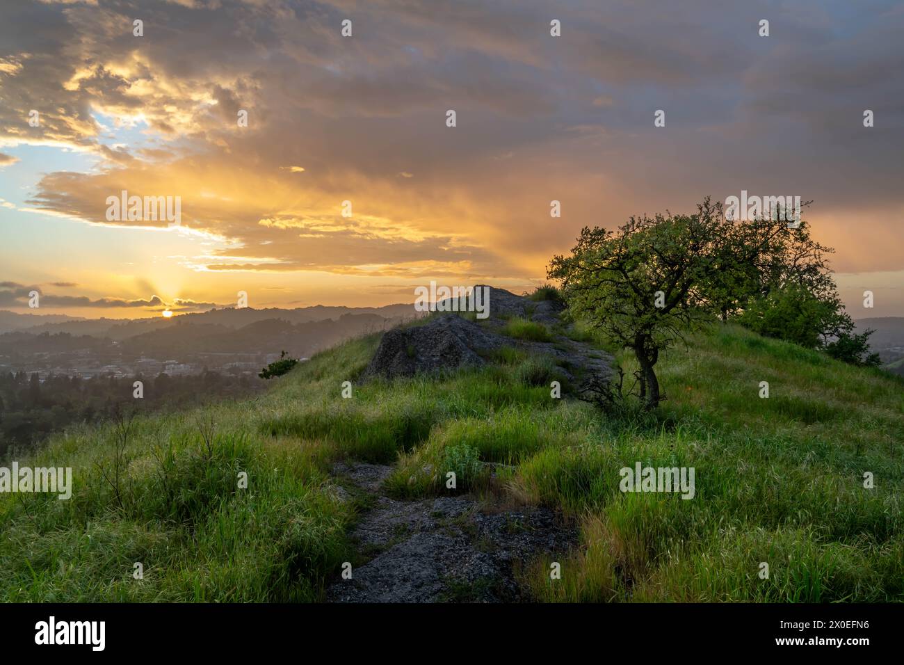 Mount Diablo State Park at Sunset Stock Photo - Alamy