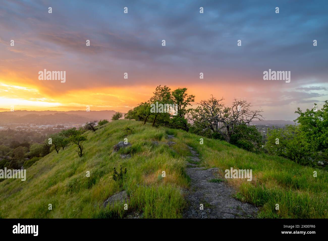 Mount Diablo State Park at Sunset Stock Photo - Alamy