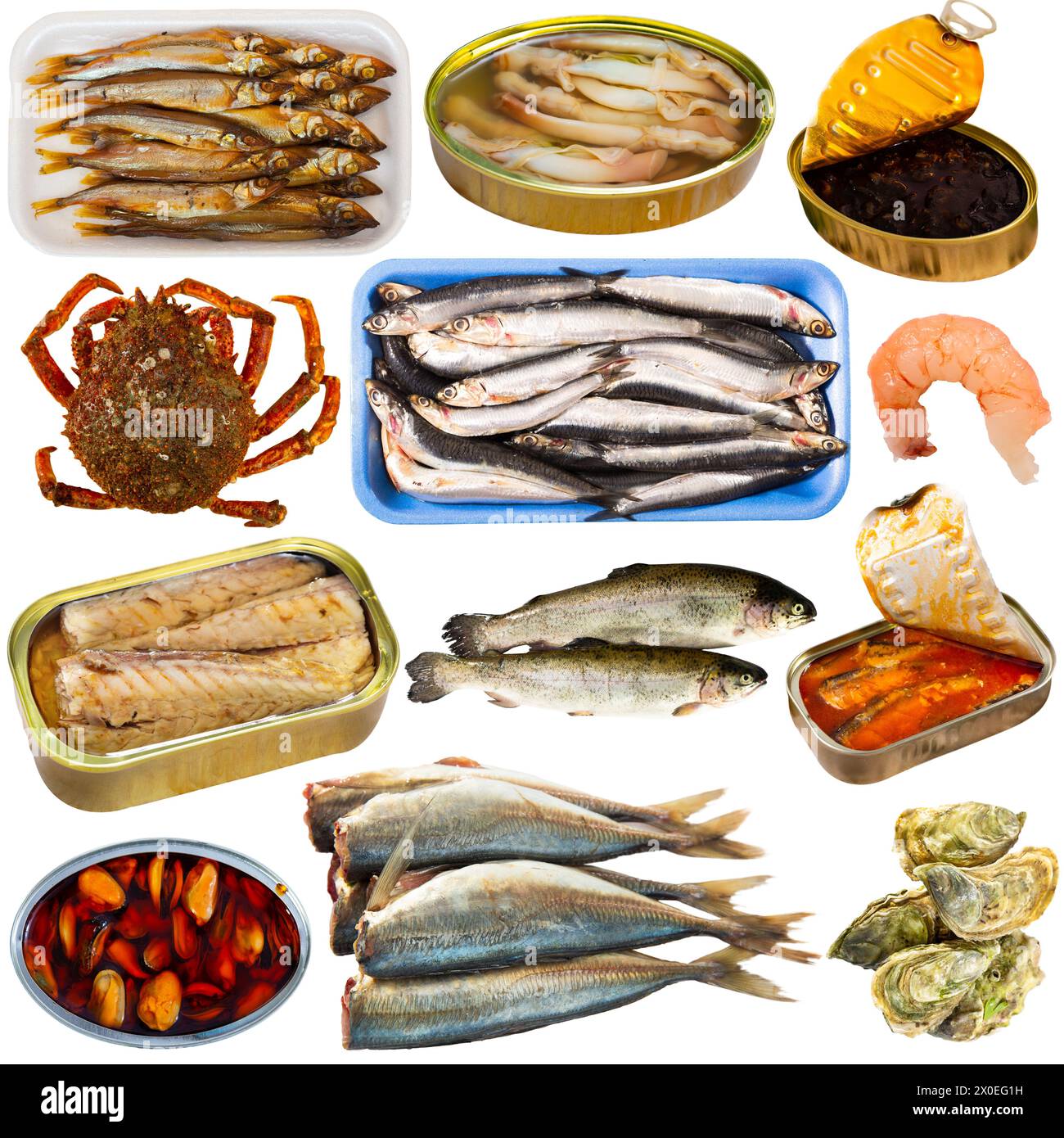 Seafoods market Cut Out Stock Images & Pictures - Alamy