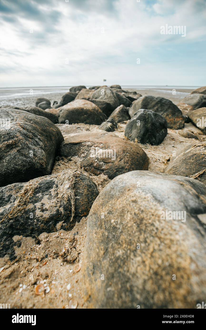boulders on the beach at low tide.Wadden Sea Coast.Stone groyne close ...