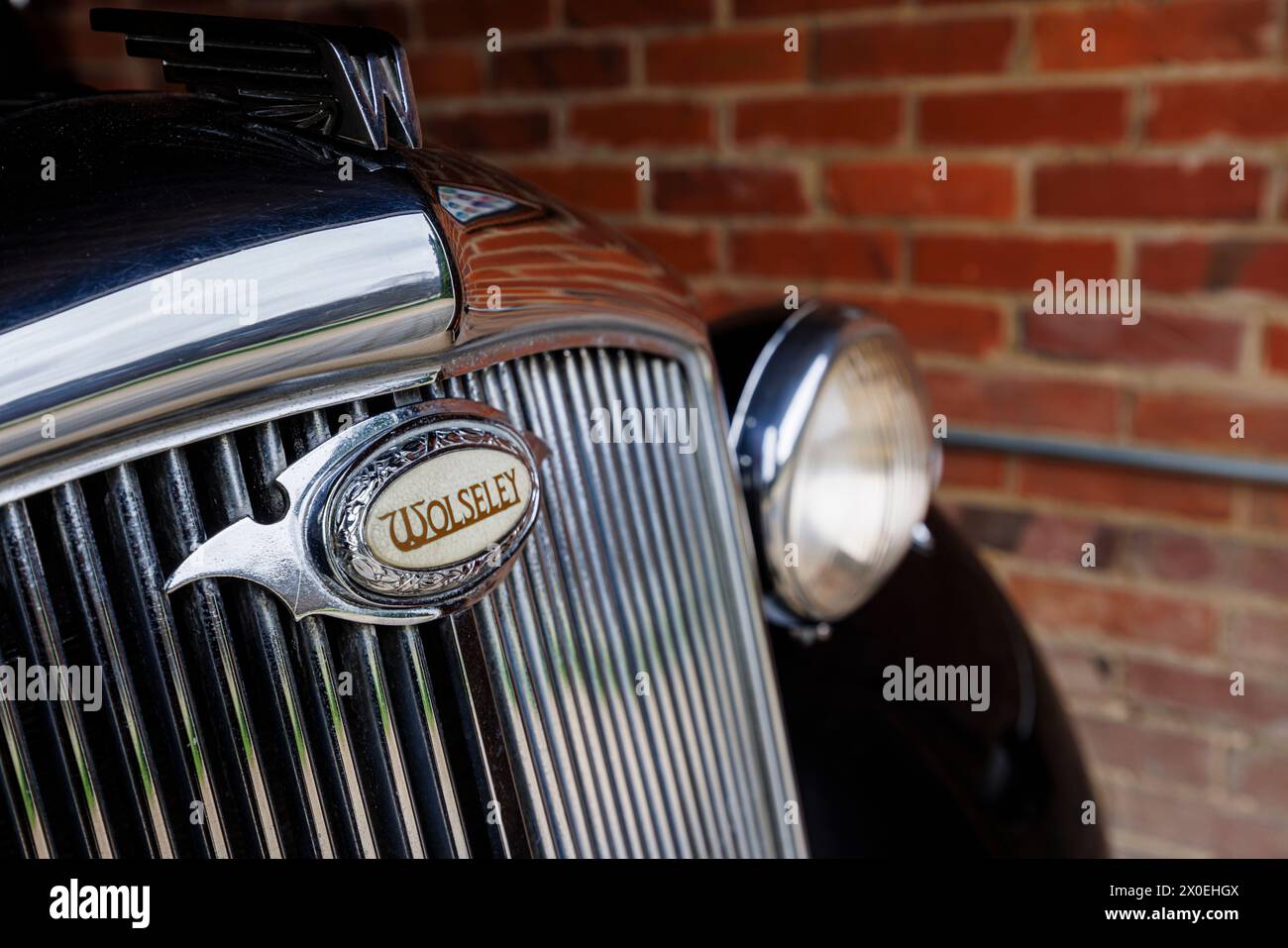 Classic Wolseley car front name badge on a Wolseley Eight at Nuffield ...
