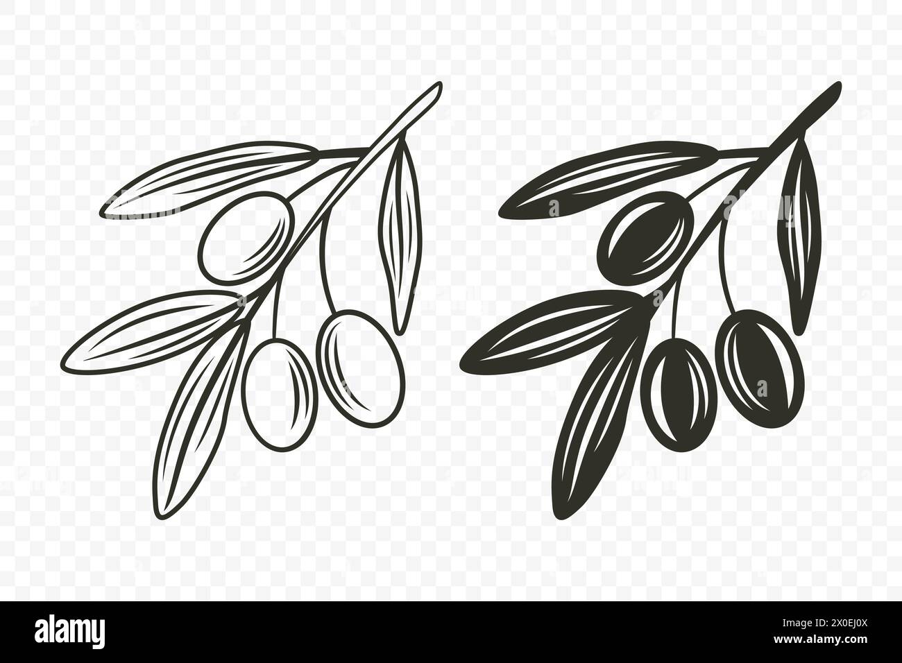 Flat Vector Olive Branch with Olives Set. Hand Drawn Olive Tree Branch ...