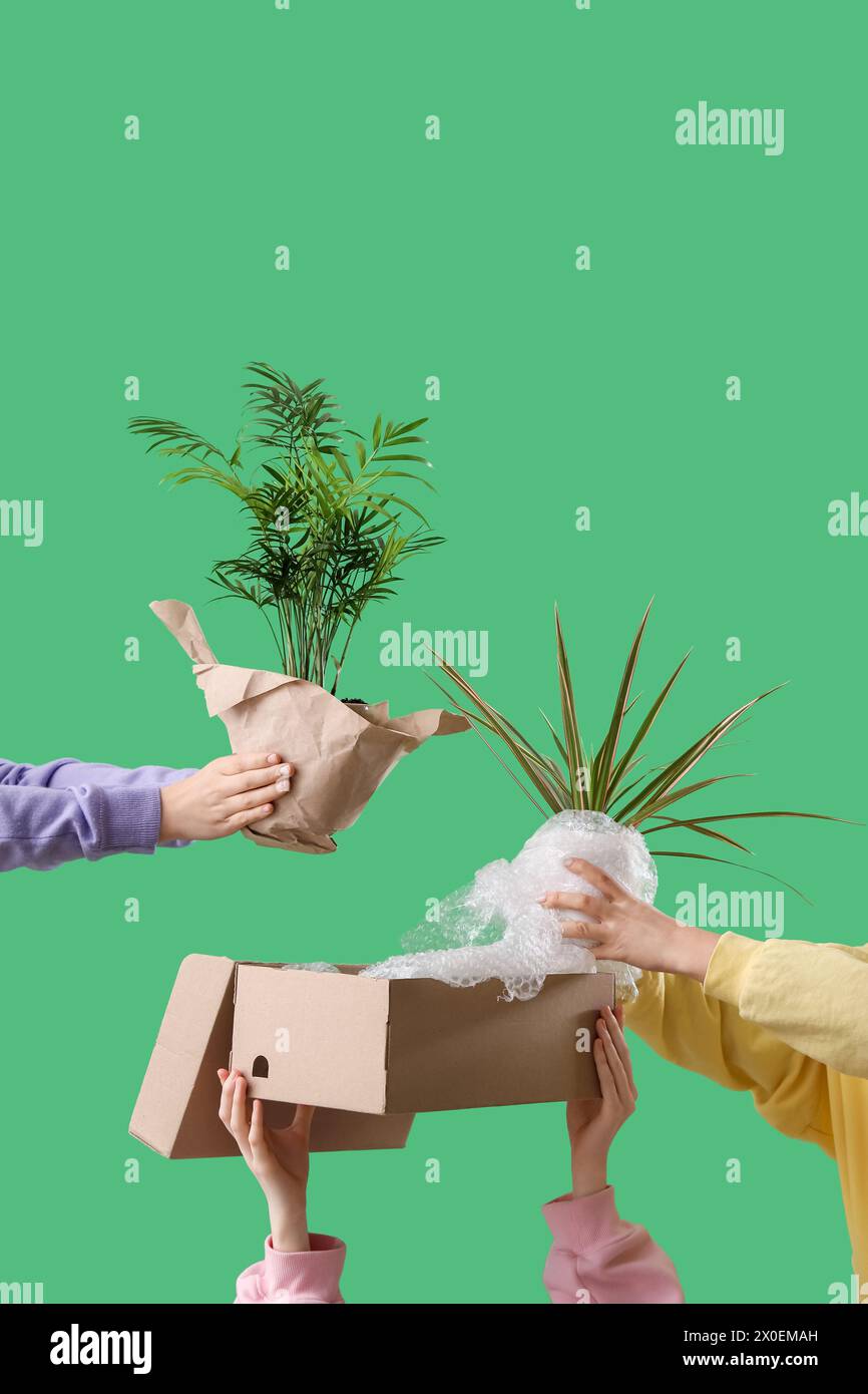 Packing plants hi-res stock photography and images - Alamy