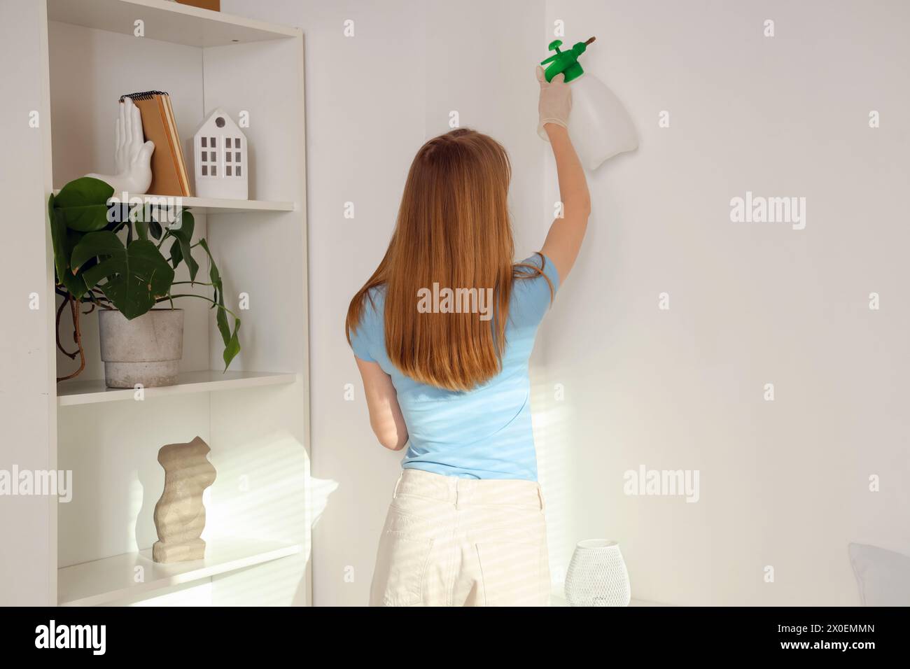 Young woman removing mold from wall in bedroom, back view Stock Photo ...