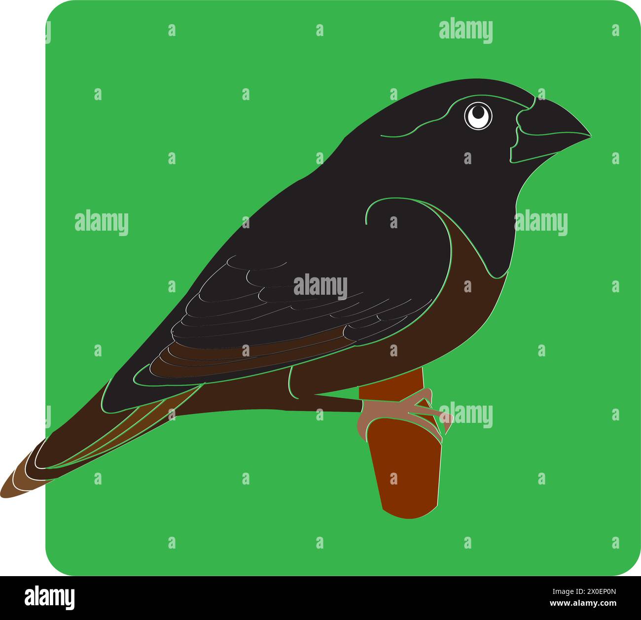 Sparrow graphic vector hi-res stock photography and images - Alamy