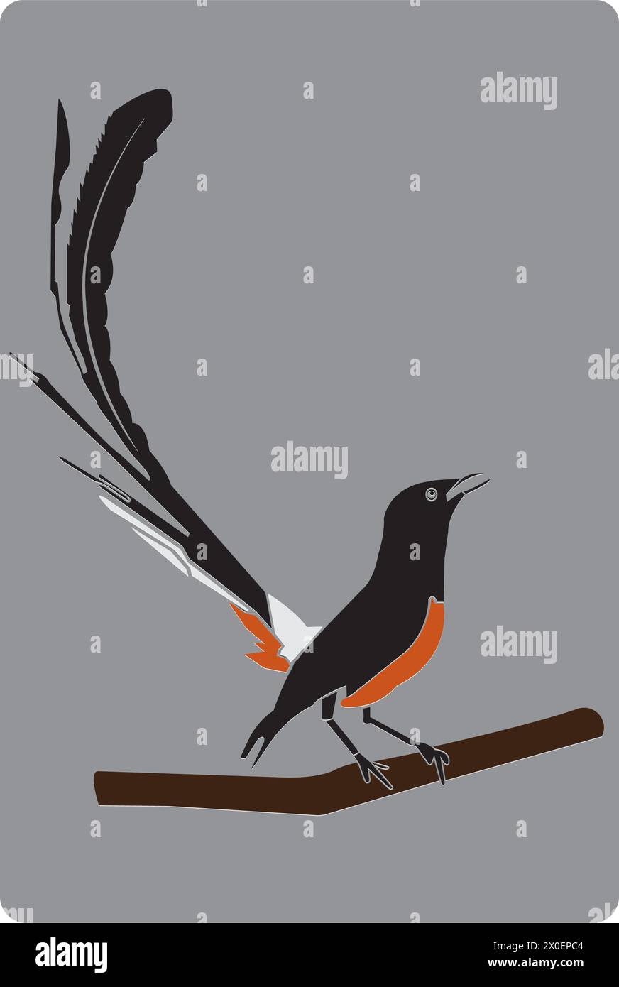 Stone magpie,icon logo vector design illustration Stock Vector Image ...