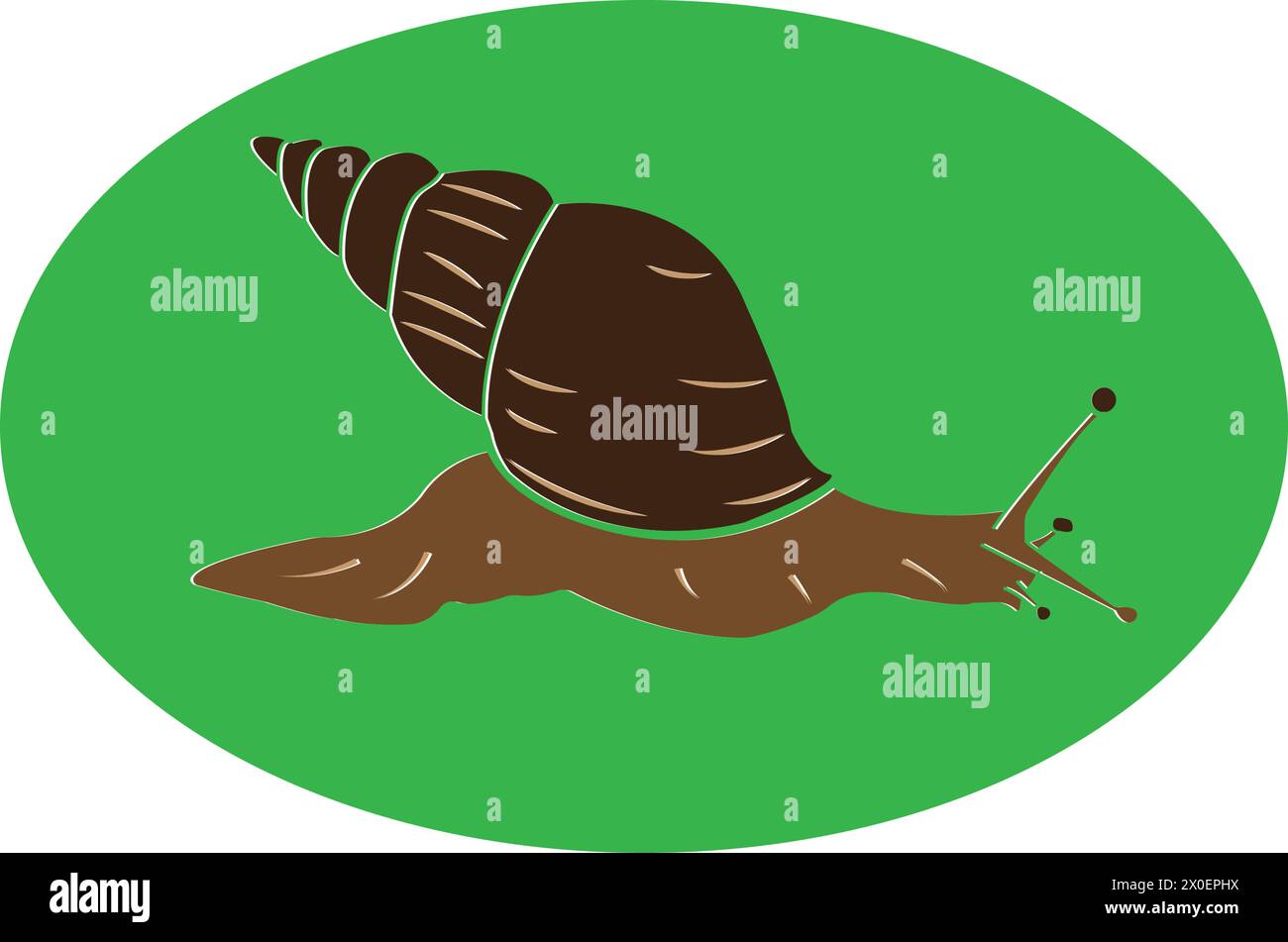 snail icon vector illustration symbol design Stock Vector Image & Art ...