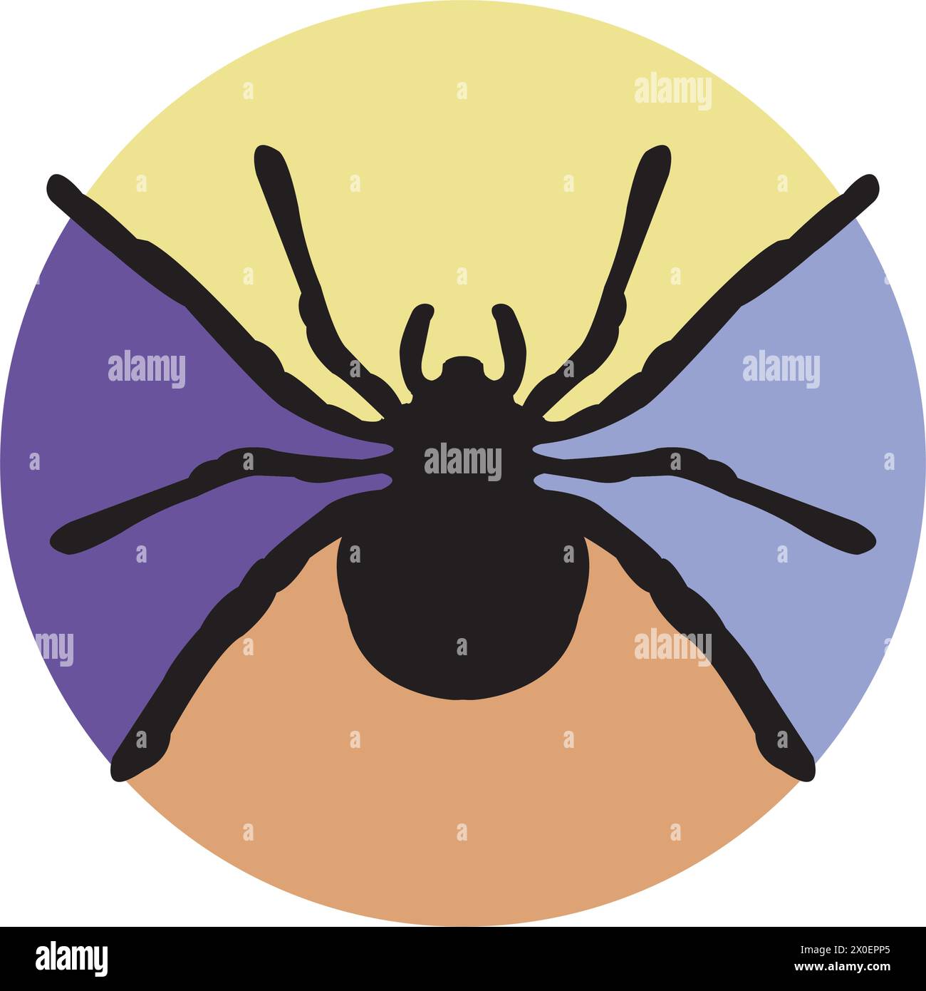 spider icon vector illustration symbol design Stock Vector Image & Art ...
